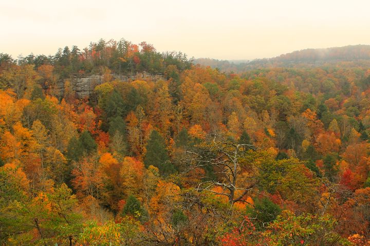 Tennessee Fall - B.Matt. - Photography, Landscapes & Nature, Forests ...