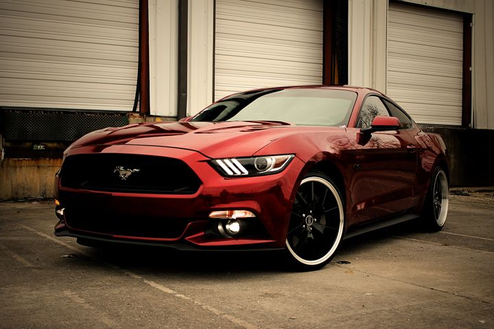 Mustang Face - B.Matt. - Photography, Vehicles & Transportation ...