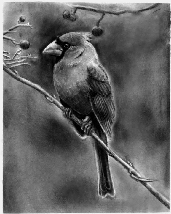 Wheatherart - Drawings & Illustration, Paintings & Prints