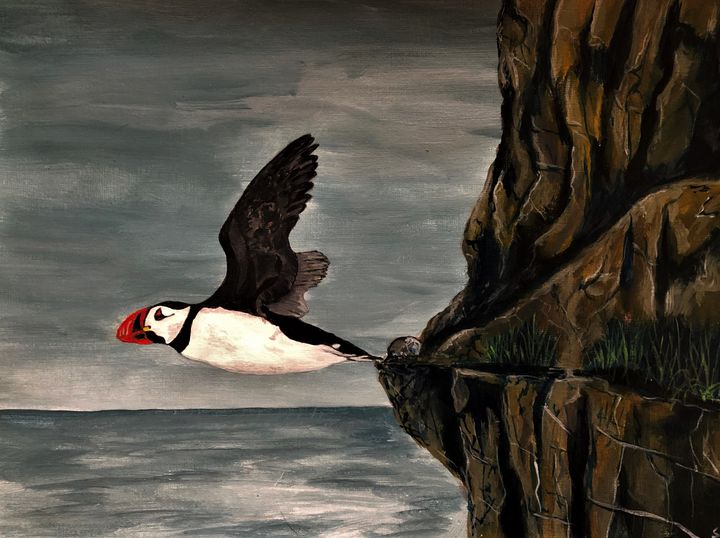 Newfoundland Puffin - Scott greene - Paintings & Prints, Animals, Birds ...