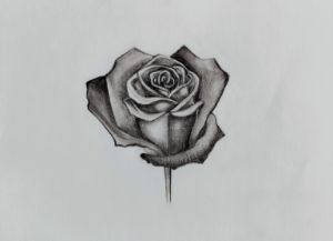 charred - Drawings & Illustration