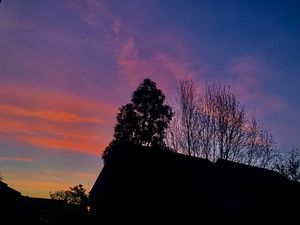 Heidi thomason - Photography