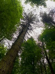 Heidi thomason - Photography