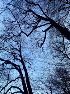 Barnard castle lake - Heidi thomason - Photography, Landscapes & Nature ...