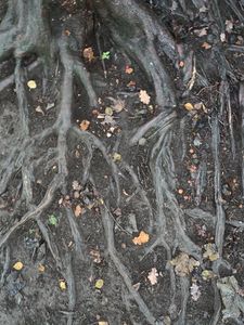 Heidi thomason - Photography