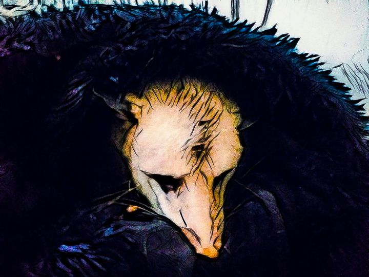 Rambo in the Winter in Blue - Castle Design Graphics - Photography ...