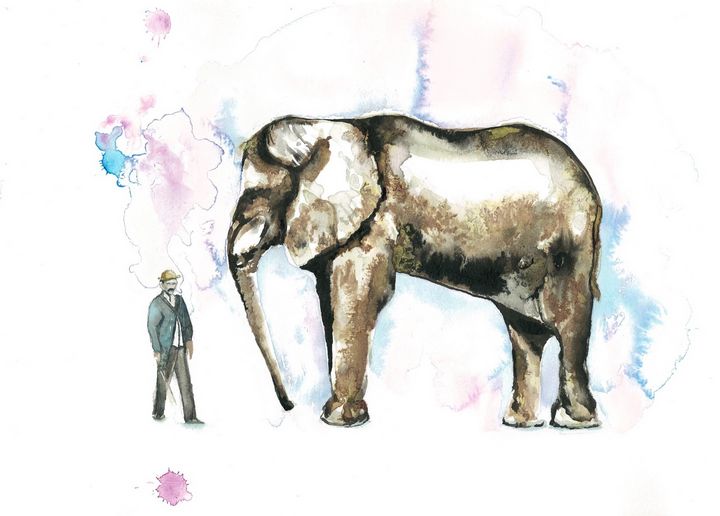 Jumbo elephant - Robert Czibi Art - Paintings & Prints, Entertainment ...