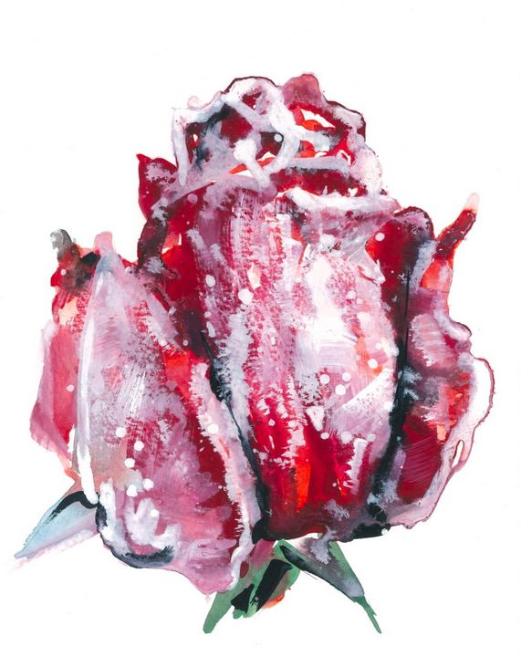 Snow Rose - Robert Czibi Art - Paintings & Prints, Flowers, Plants ...