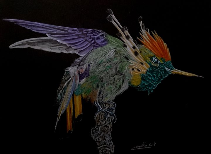 hummingbird - The Chameleon - Drawings & Illustration, Animals, Birds ...
