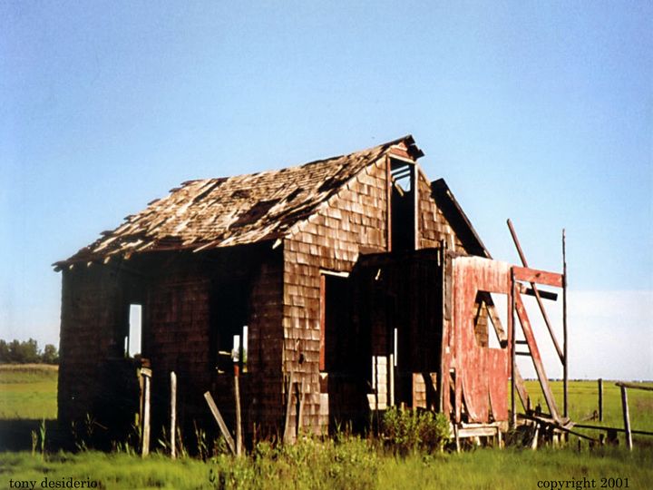 The shack 2001 - Lbi Artist Tony Desiderio - Paintings & Prints ...