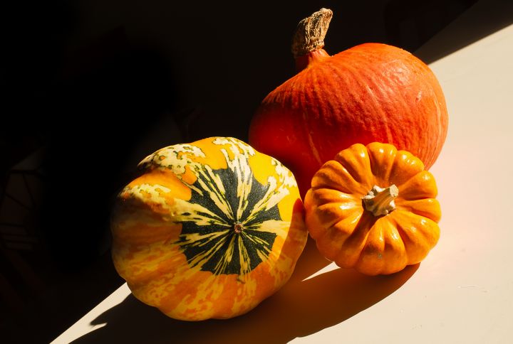Still Life of Squash and Pumpkins - helen geld - Photography, Still ...