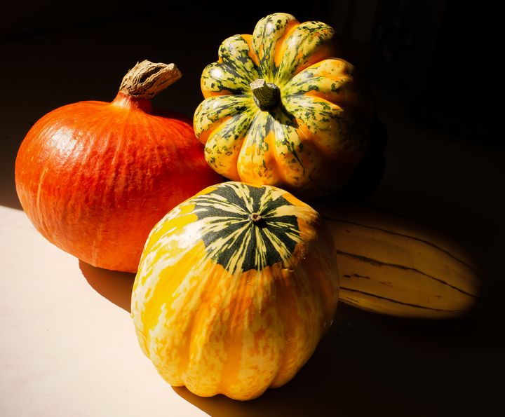 Still Life of Carnival Squash - helen geld - Photography, Food ...