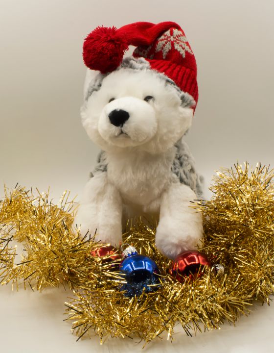 Christmas Toy dog with red hat - helen geld - Photography, Holidays ...