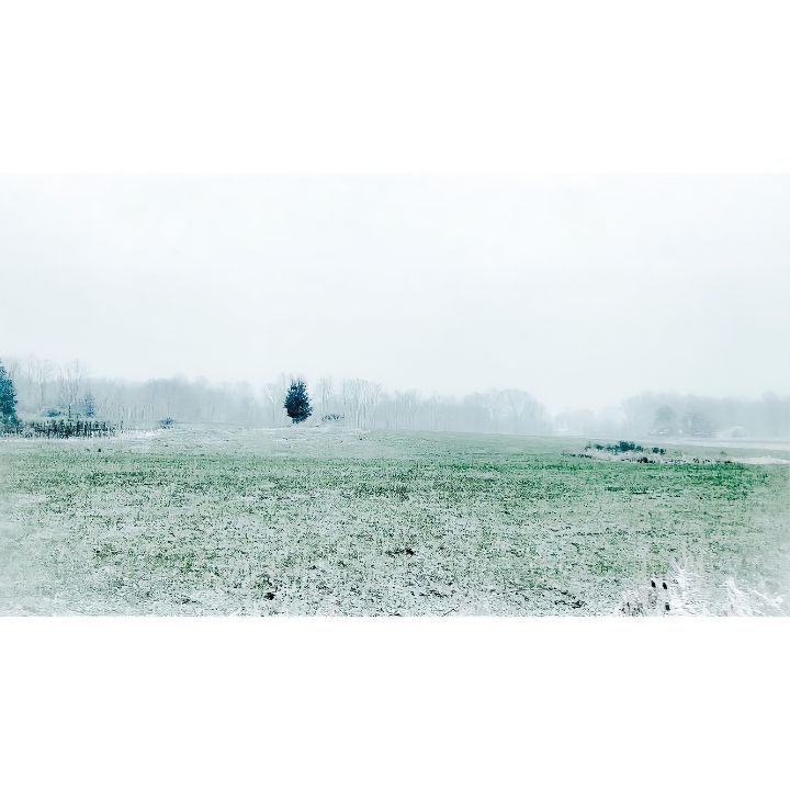 Snowy Green - Sean DeBonis - Photography, Landscapes & Nature, Fields ...
