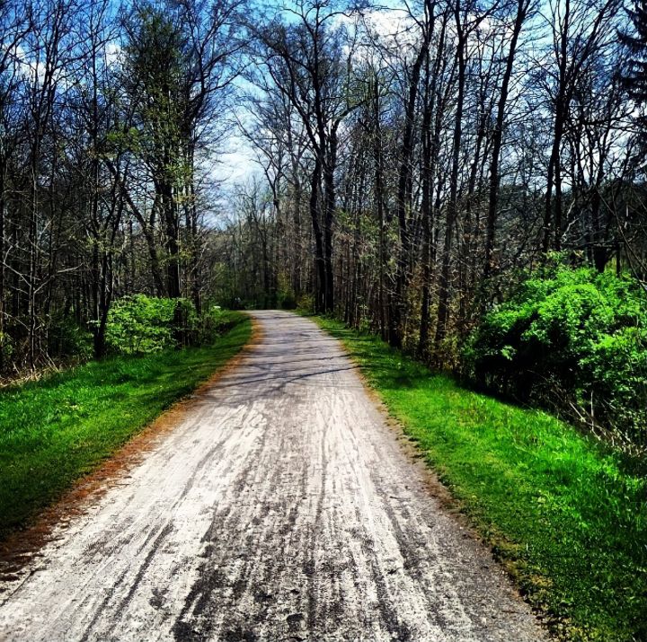 Bright Path - Sean DeBonis - Photography, Landscapes & Nature, Paths ...