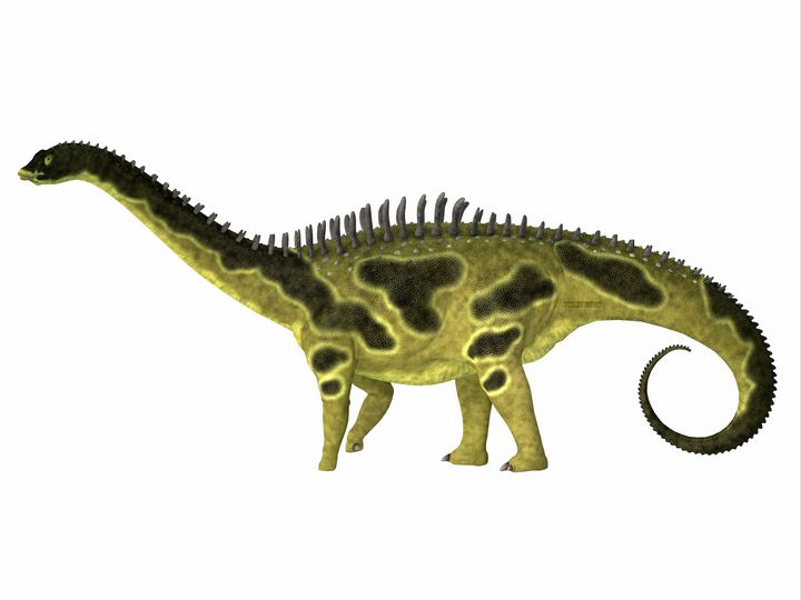 Agustinia Dinosaur Side Profile - Corey Ford Gallery LLC - Drawings ...