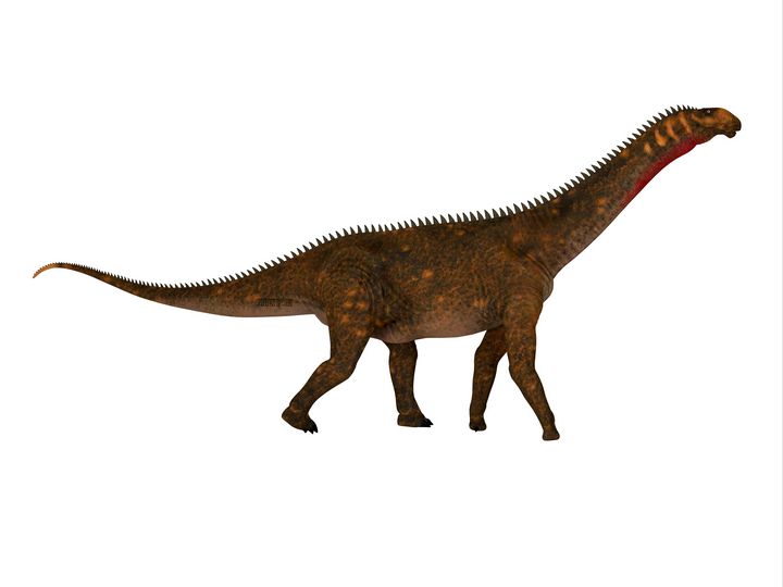 Mierasaurus Dinosaur Full Length - Corey Ford Gallery LLC - Drawings ...