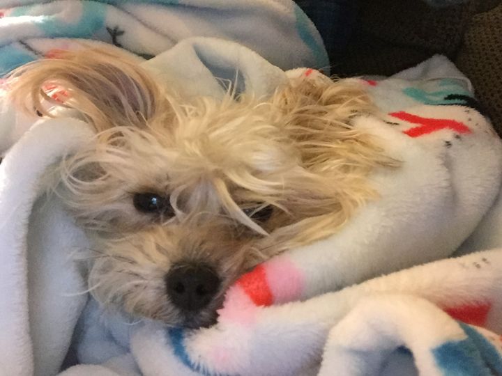 Snuggle Bug - SLPeders - Photography, Animals, Birds, & Fish, Dogs ...