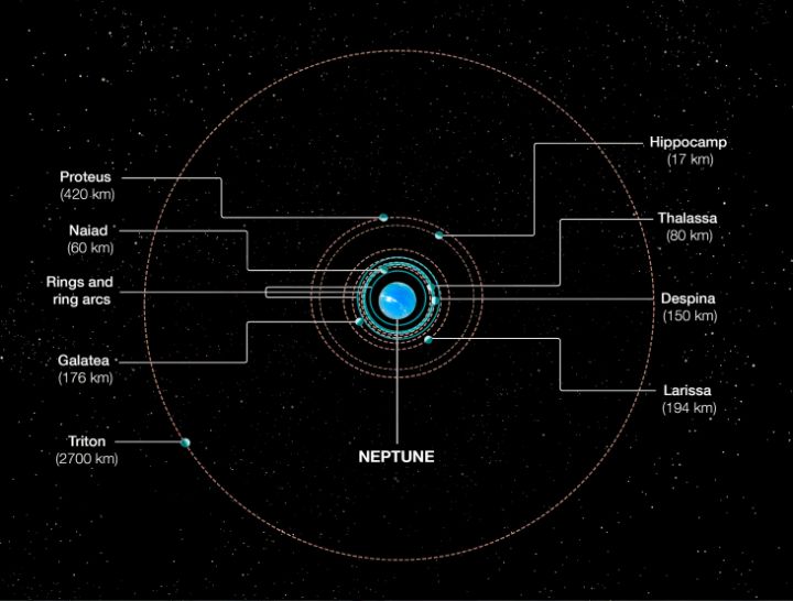 Orbits of Neptune's Moon - Artistic Masters - Photography, Astronomy ...