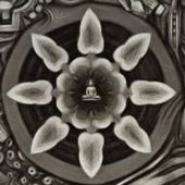 Lucida Art - Digital Art & AI