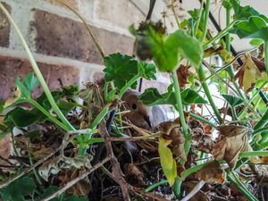 Gabriel Watkins - Photography, Digital Art & AI