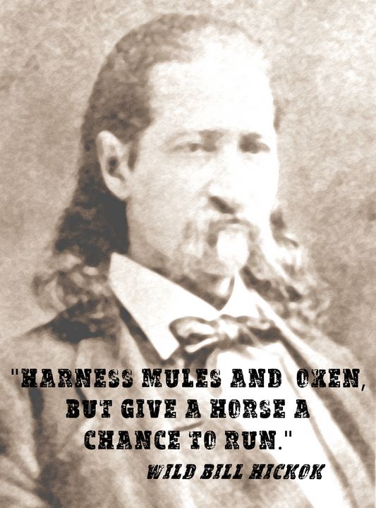 Wild Bill Hickok - Charlie Walker, American Artist - Photography, Humor ...