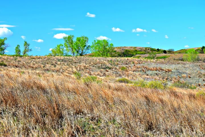 kansas field - A Flash of Blake - Photography, Landscapes & Nature ...