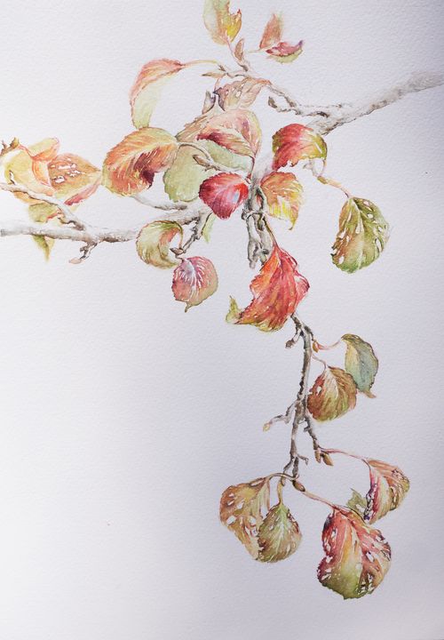 Here comes Fall - Athena Joy Art - Paintings & Prints, Flowers, Plants ...