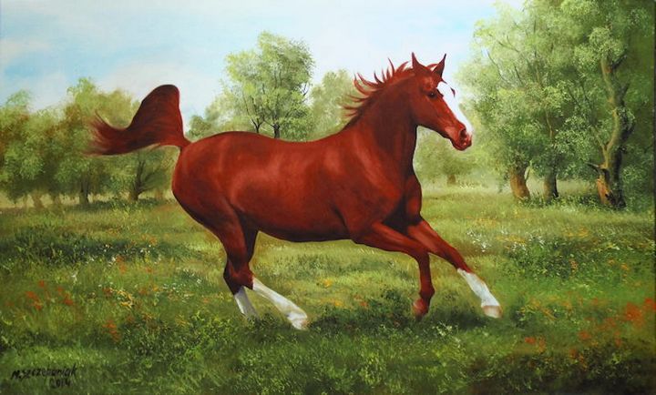 cantering horse 2 - The Gallery Design - Paintings & Prints, Animals ...