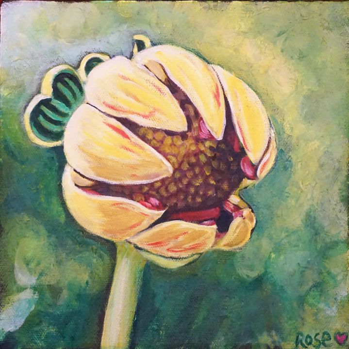 Preparing to Bloom - Rose Ananda Heart - Paintings & Prints, Flowers ...