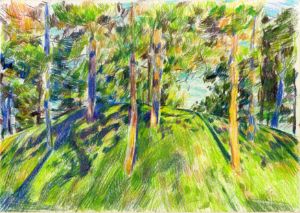 Katz - Drawings & Illustration