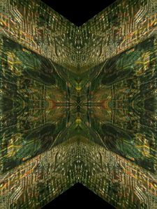 Benjamin Adair chartin - Digital Art & AI