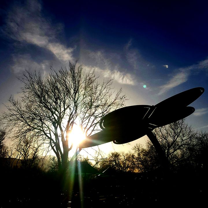 Crystal V Photography - Photography