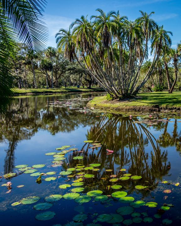 Florida Lakes And Ponds