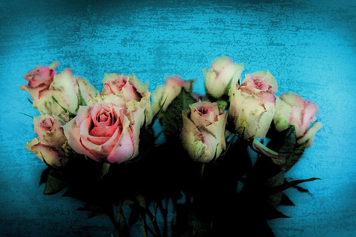 Roses I... - Andy Milner Photography - Photography, Flowers, Plants ...