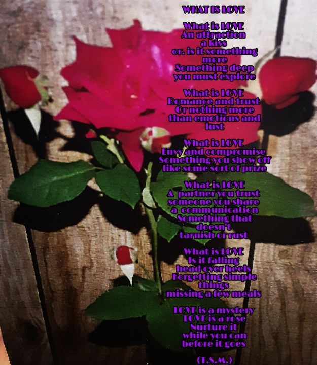 WHAT IS LOVE - Timothy's poem art - Digital Art & AI, Flowers, Plants ...