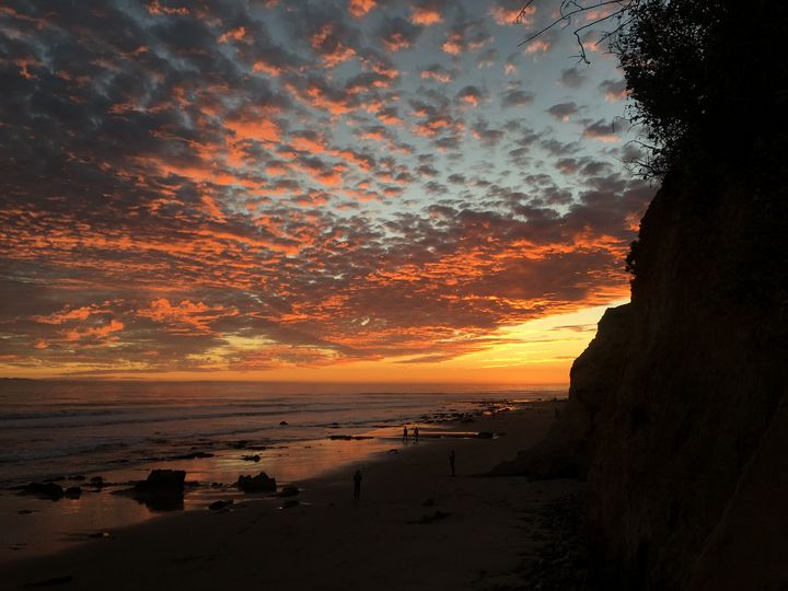 Anne Rodgers - Photography