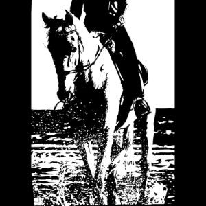 Horses In Shadows - Drawings & Illustration