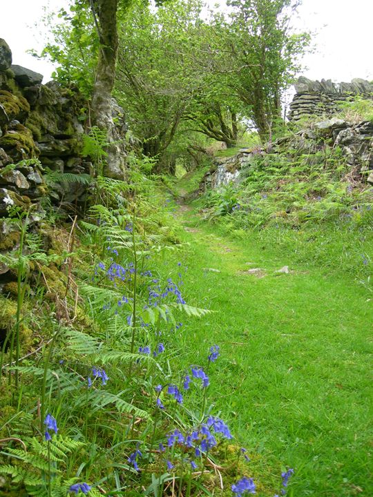 Path - Robert Harris - Photography, Landscapes & Nature, Paths & Trails ...