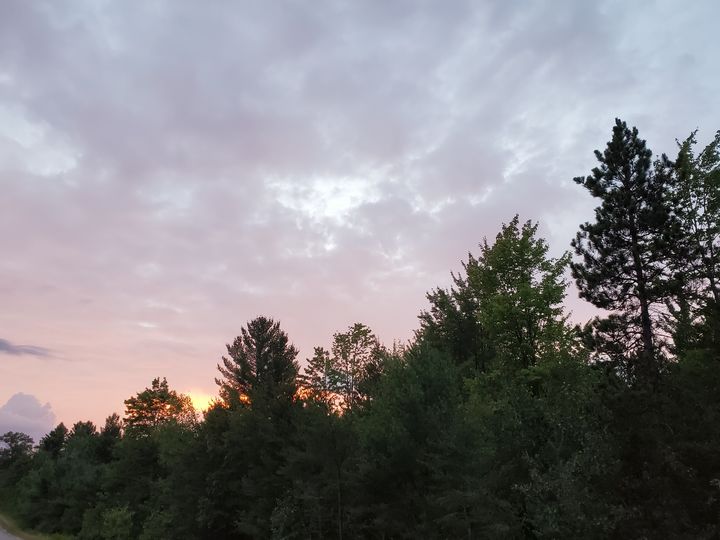 McQ1 Tree Line at Sunset - Jamie LeeK - Photography, Landscapes ...
