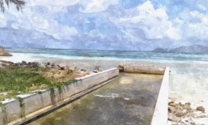 Deborah Meltzer - Paintings & Prints