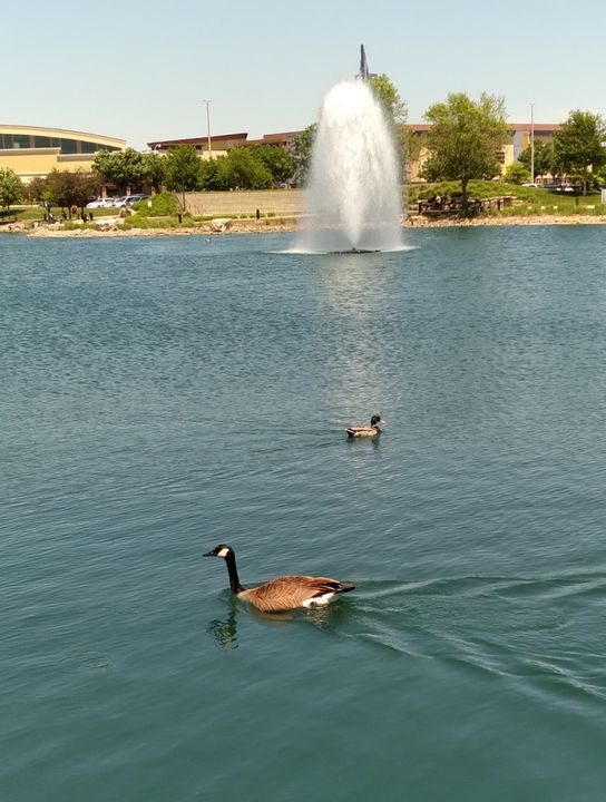 fountain pond - Hallie's art - Photography, Landscapes & Nature, Lakes ...