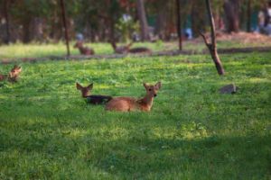 Riz - Digital Art & AI, Photography