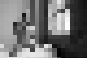 Photography by Gary Mitchell - Photography