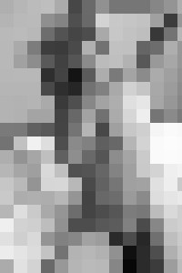 Photography by Gary Mitchell - Photography