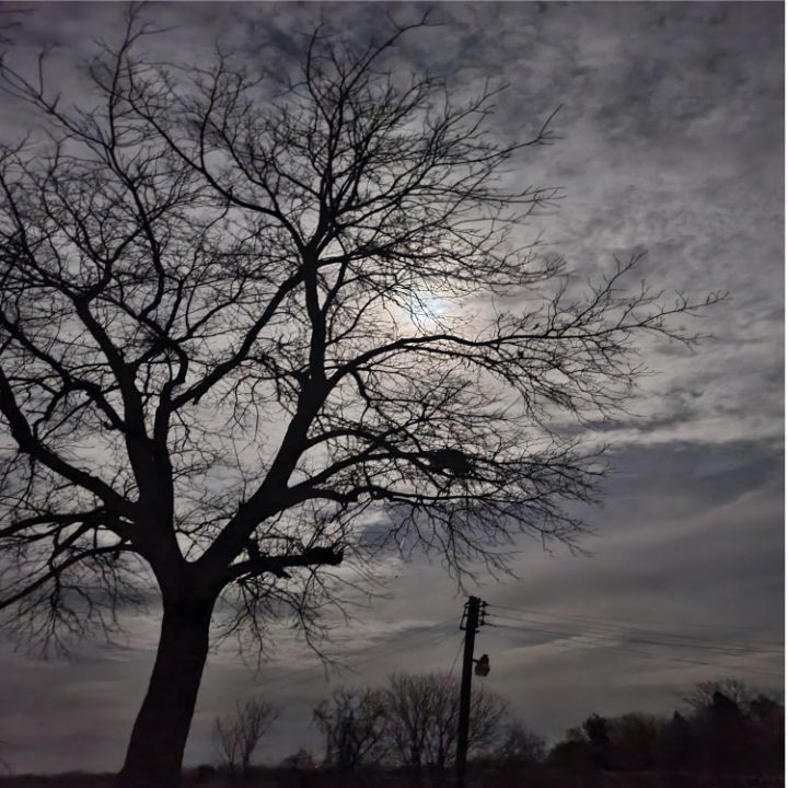 Full Moon Peeking - Squirrel Creations 21 - Photography, Landscapes ...