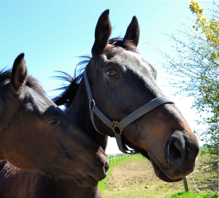 Toni Sanders - Photography