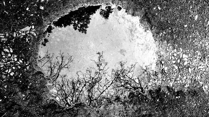 Reflections 1 - Toni Sanders - Photography, Landscapes & Nature, Other ...