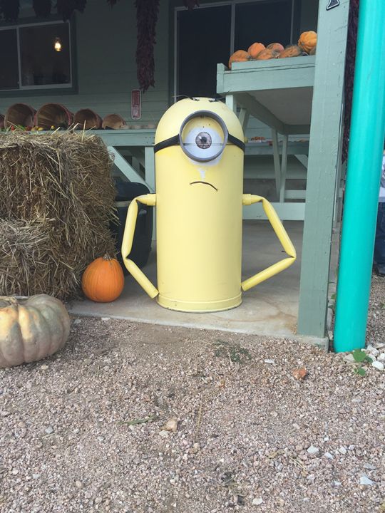 Main Minion - Painting and Photography by Julia Malphrus - Photography ...