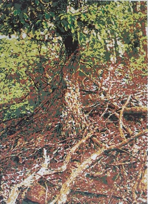 Ghost Tree - Printsnat - Paintings & Prints, Landscapes & Nature ...